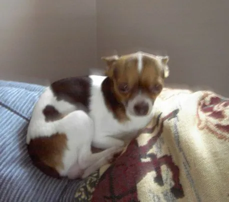 zues.webp | Mazdas247